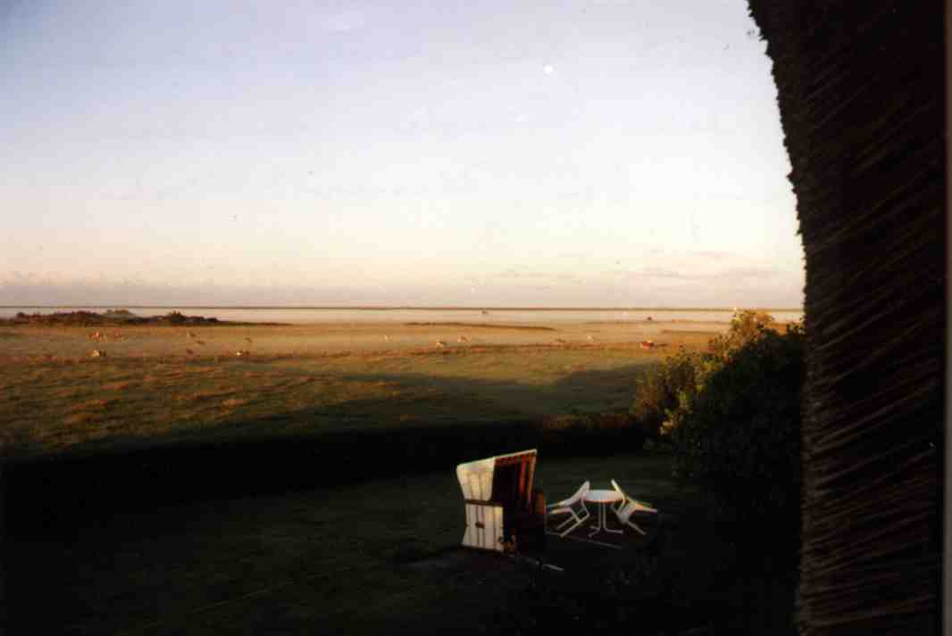 Jagdgenossenschaft Archsum Sylt